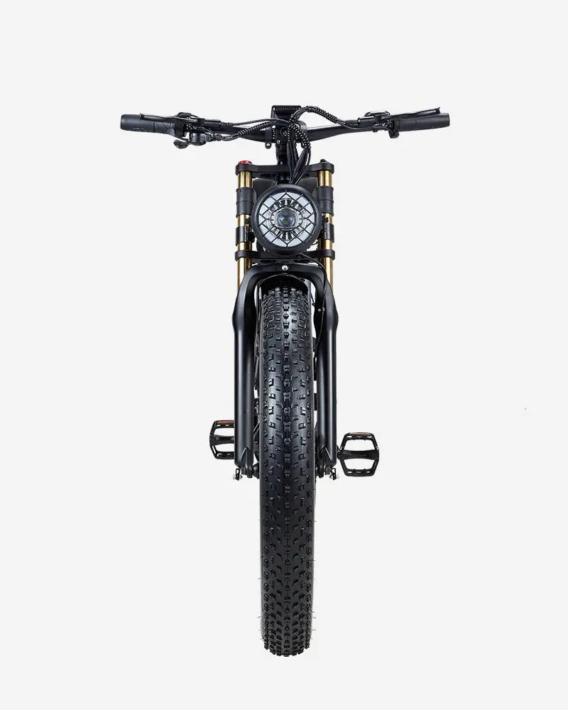 Burchda Off Road Fat Tire Ebikes For Adults | RX80、R5PRO、RX20、U8 ...