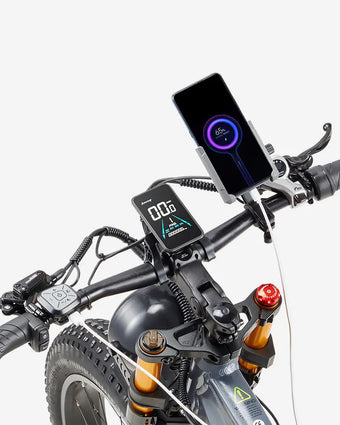 BURCHDA RX80 1000W 48V20AH Off-road fat tire ebikes all terrain ...