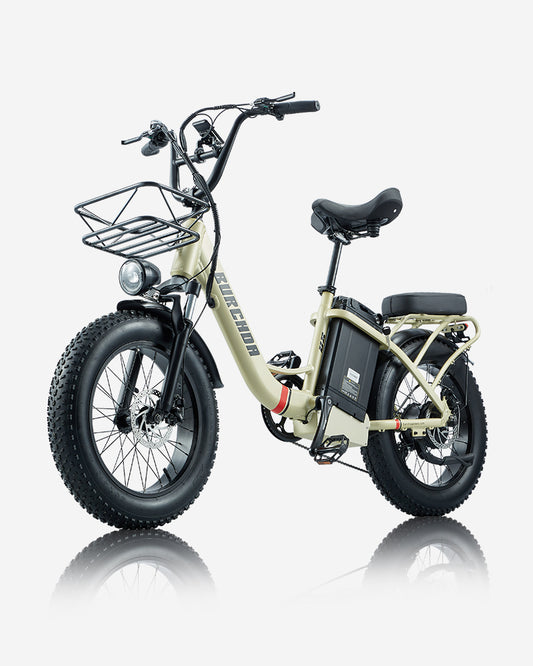 Off Road Fat-Tire Ebikes – burchda-ebike