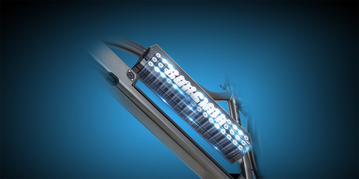 BURCHDA RX20 E-bike 48V20AH 1000W Fat Tire – burchda-ebike